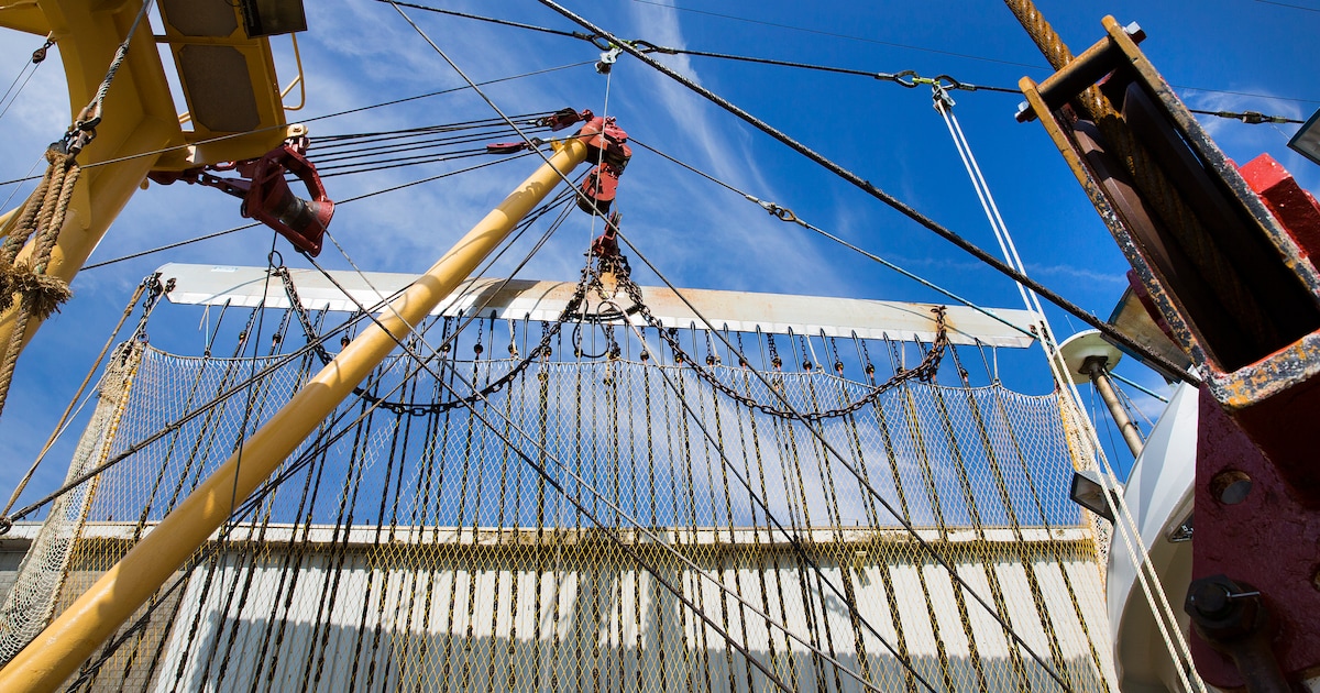 Meer sleepnet­visserij in Nederlandse natuur­gebieden dan in zes andere ...