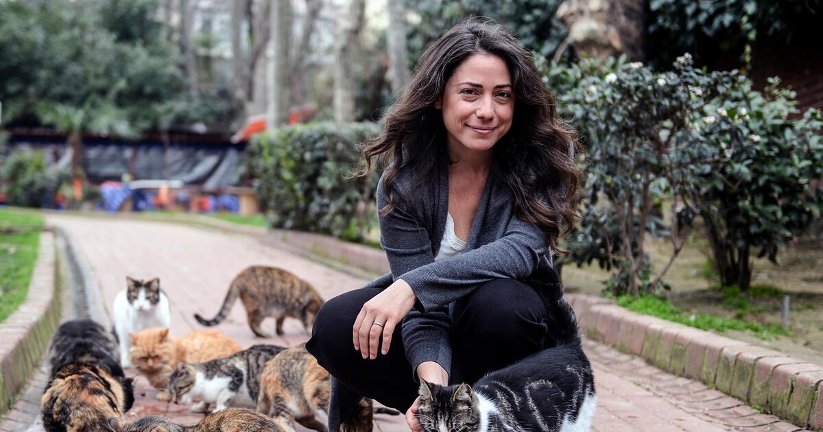 'Als moslim kun je maar beter goed voor katten zorgen, wil je in de ...