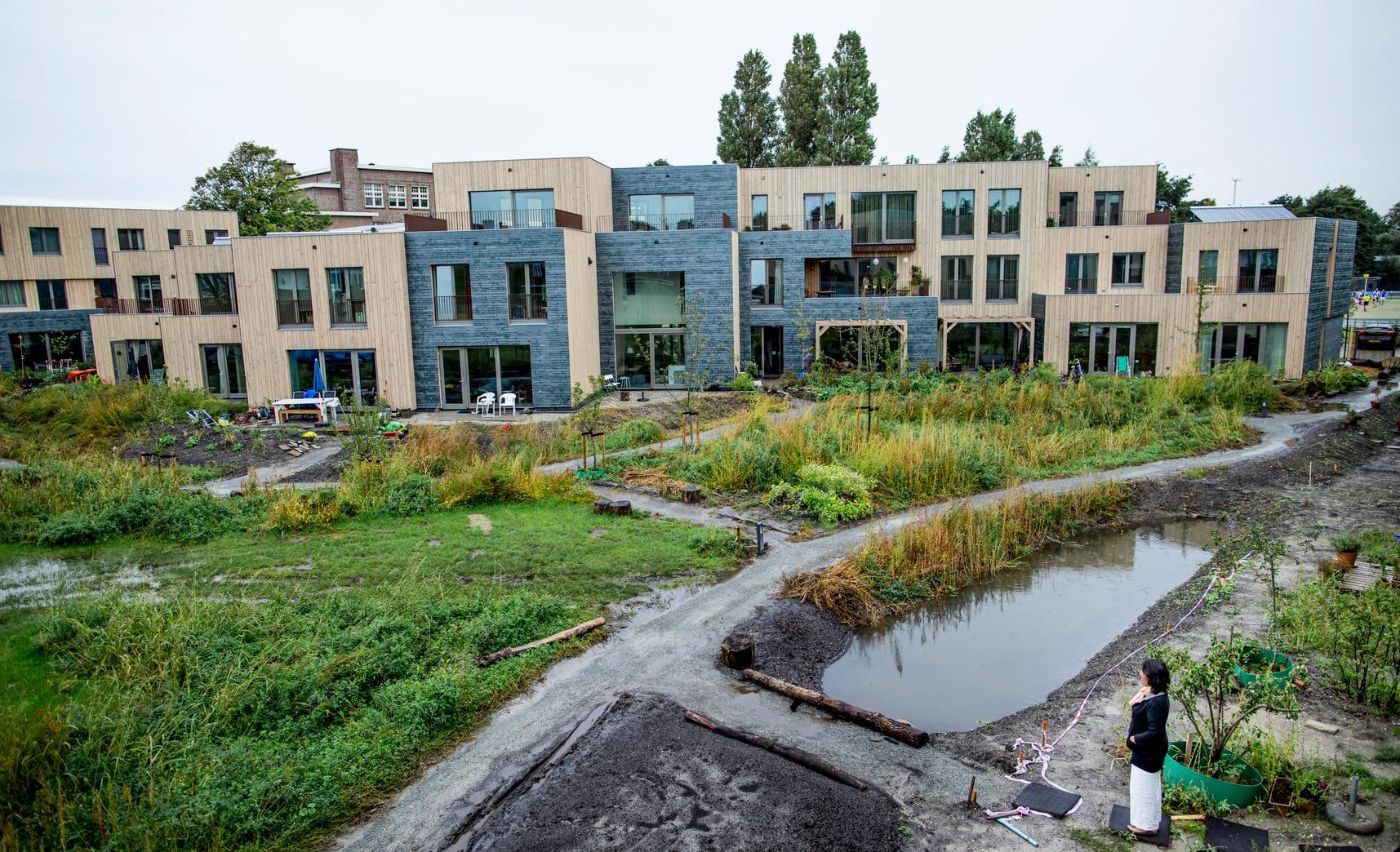 Groene Mient, de eerste energieneutrale wijk van Den Haag | de Volkskrant