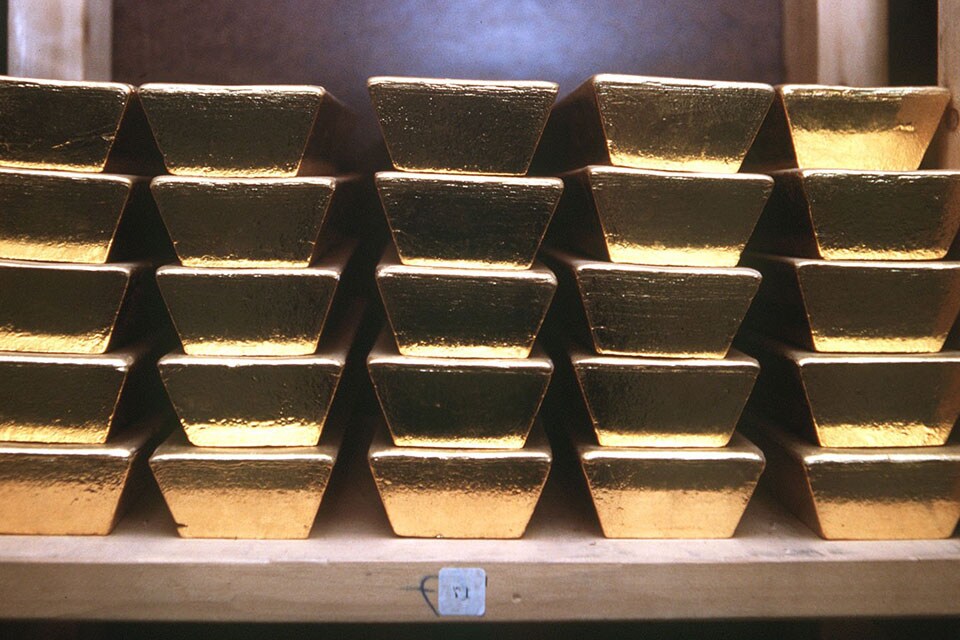 De ontdekking van een goudmijn | de Volkskrant