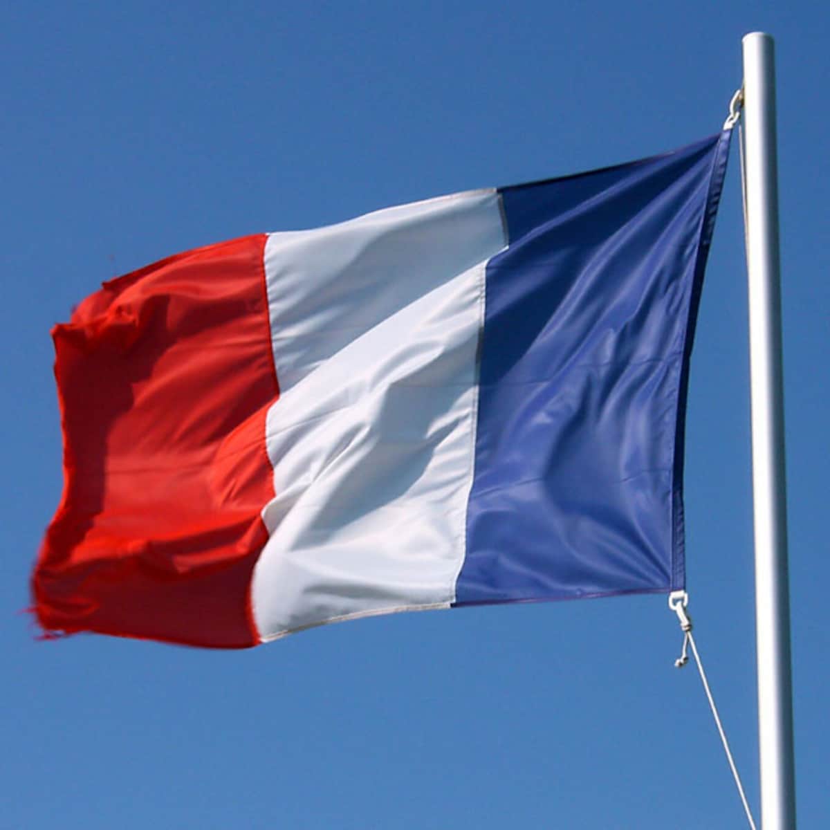 Franse Vlag 1500
