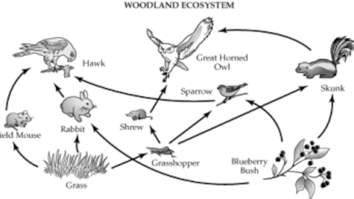 Ecologie Voorbeelden Gemeente Sluis 𝐕𝐚𝐜𝐚𝐭𝐮𝐫𝐞