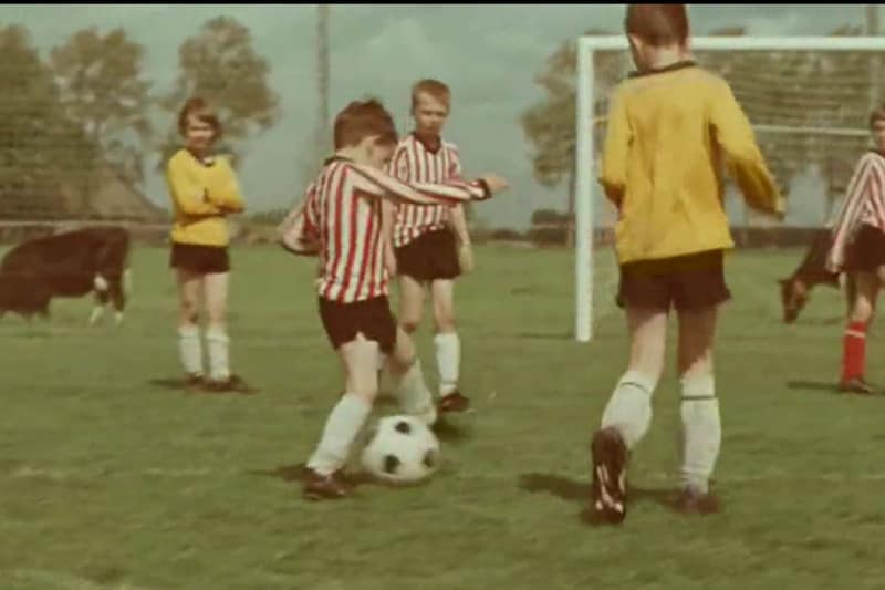 Gouden Loeki naar Pietertje van Calvé | de Volkskrant