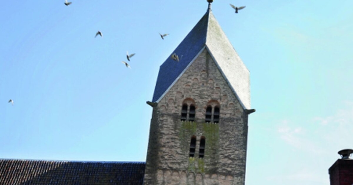 Groningse toren schever dan die van Pisa | de Volkskrant