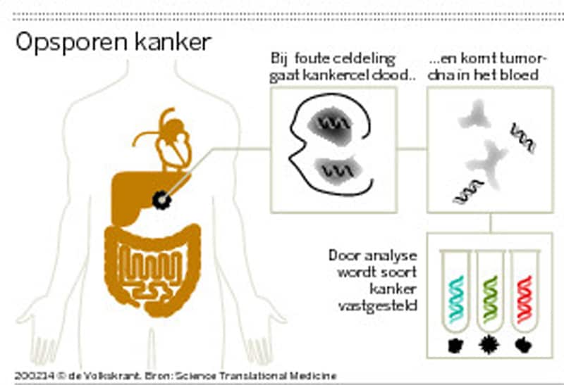 Tumoren zijn sneller te vinden met een bloedtest | de Volkskrant