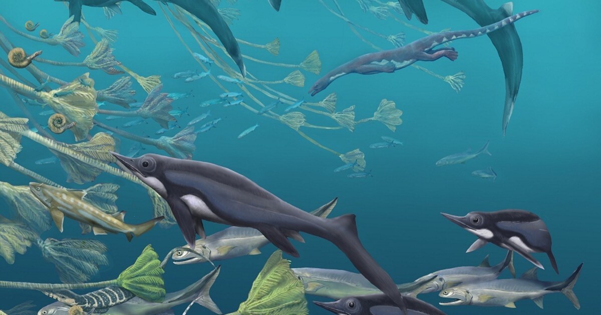 De Perm-Trias extinctie was een mooi begin | de Volkskrant