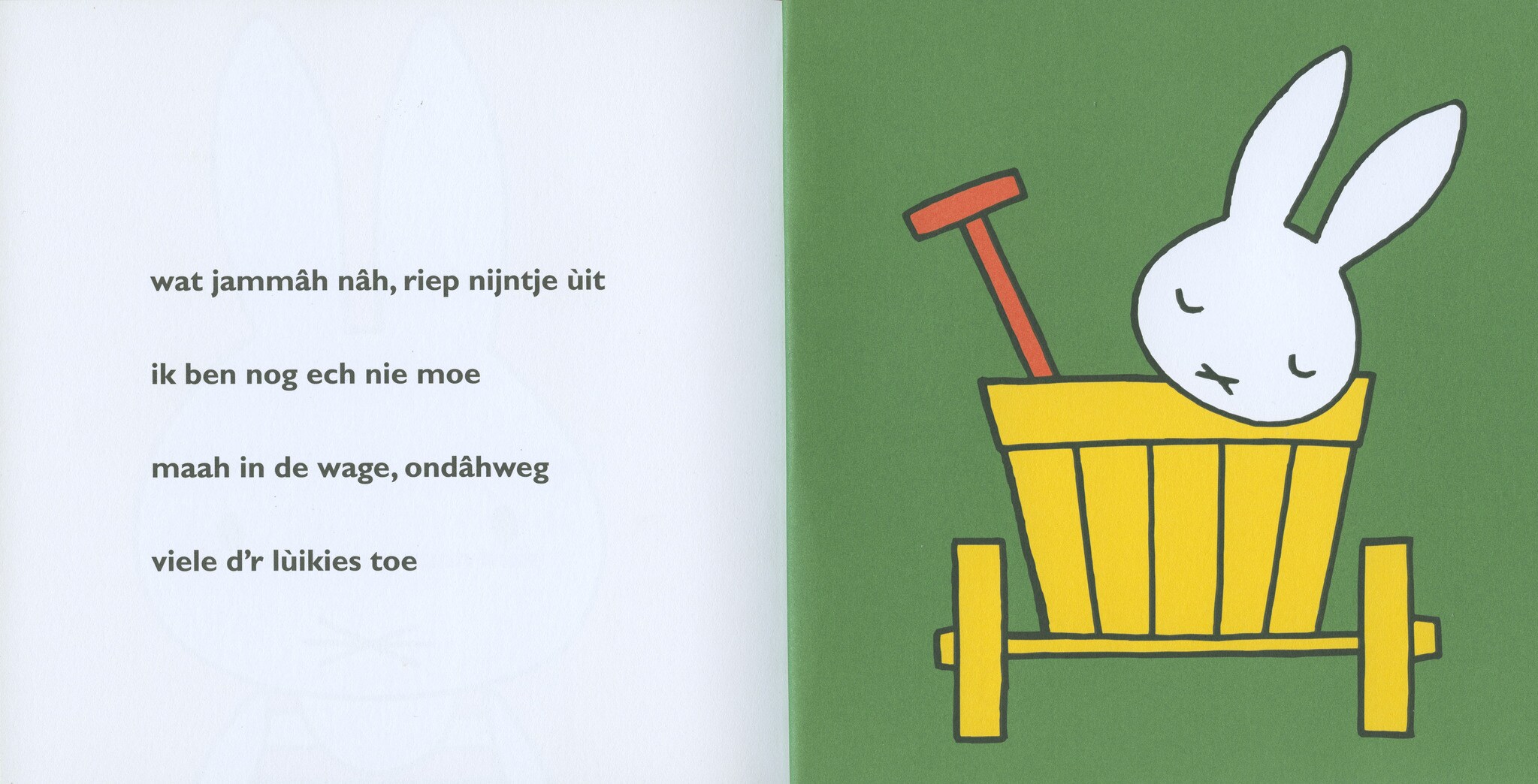 Zo blie was Nijn nog nooit | de Volkskrant