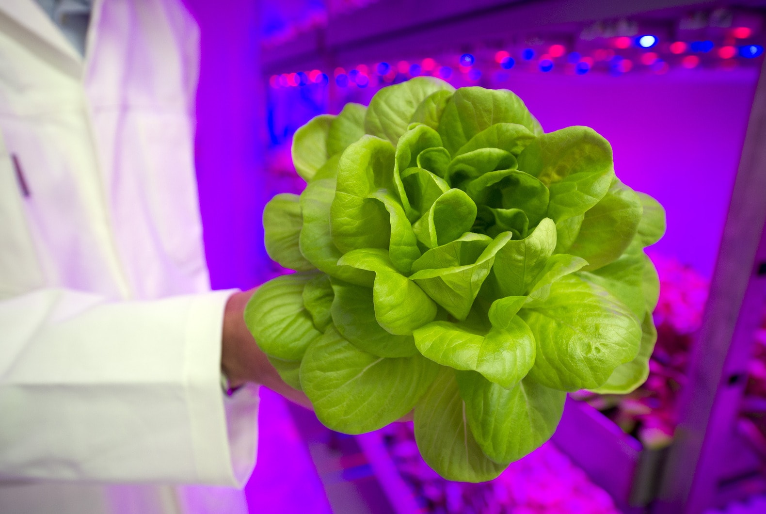 Bestuurders Plantlab stappen op, crisis breekt uit | de Volkskrant