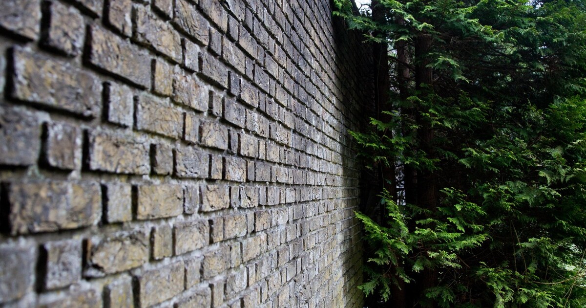 De Muur van Mussert moet behouden blijven | de Volkskrant