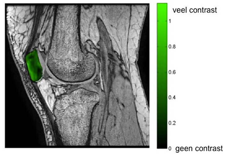 Ware Wetenschap: en dit zijn de resultaten | de Volkskrant