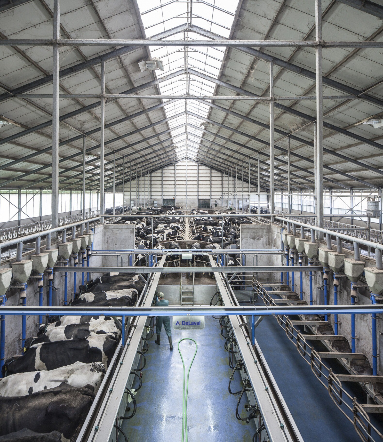 Dag melkplas, dag boterberg, hallo vrije markt | de Volkskrant