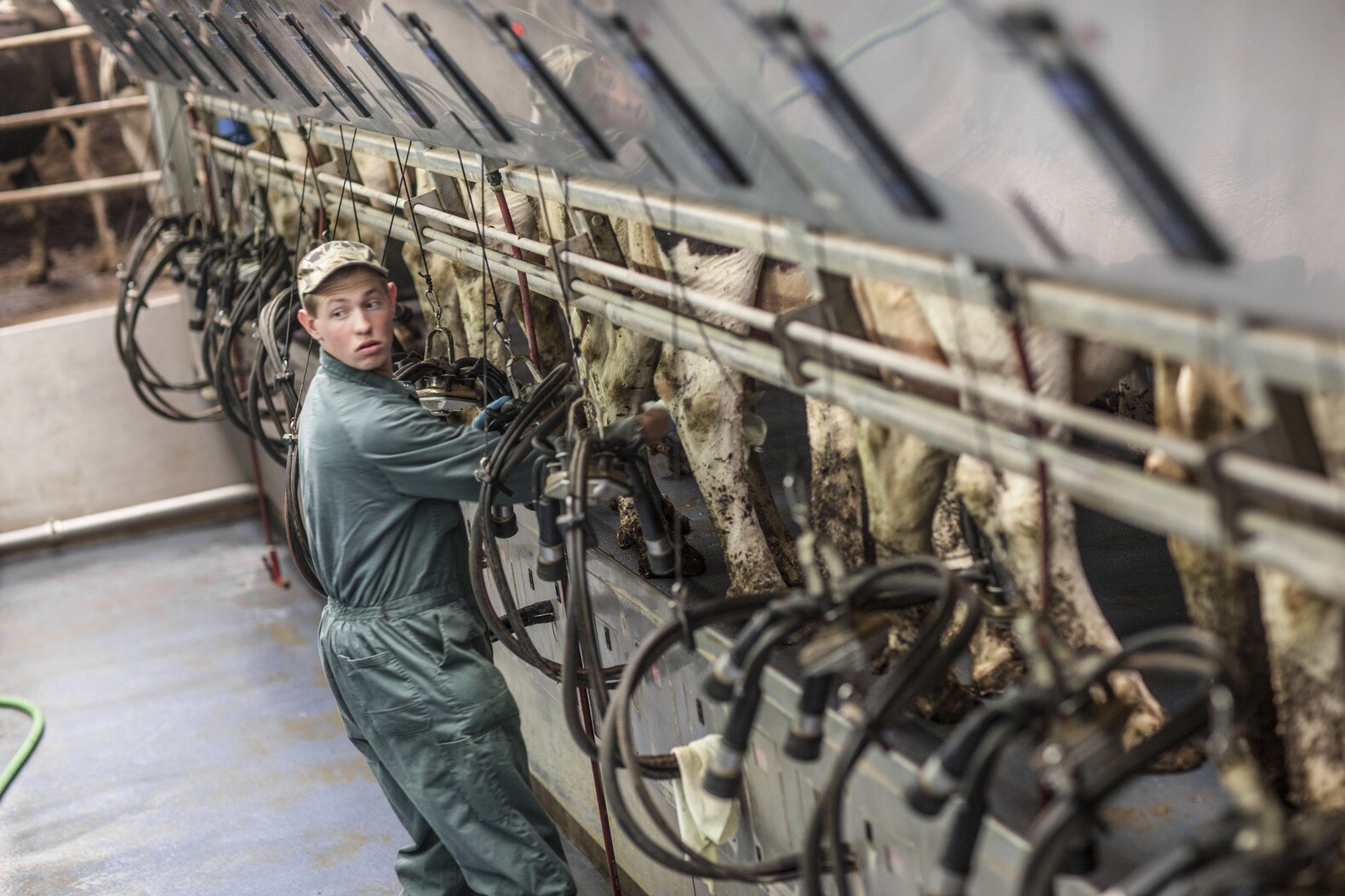Dag melkplas, dag boterberg, hallo vrije markt | de Volkskrant