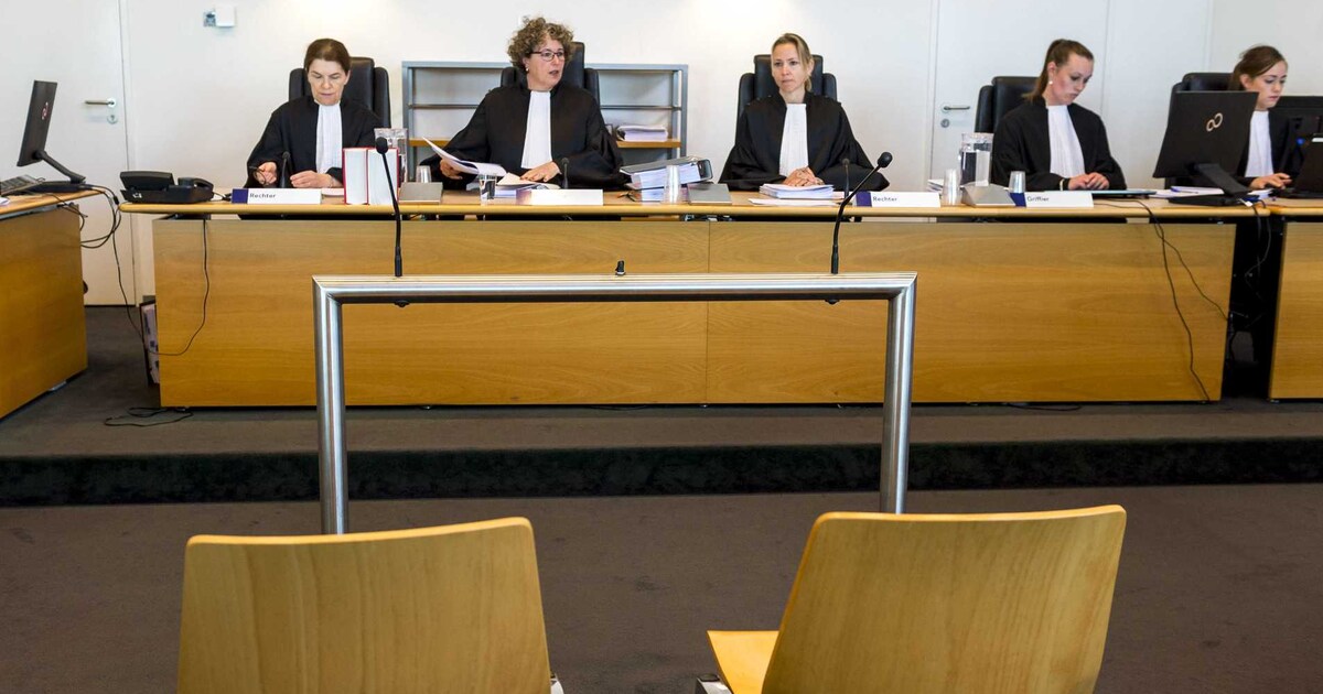 'Sorry, edelachtbare, mijn frontaalkwab is een gatenkaas' | de Volkskrant