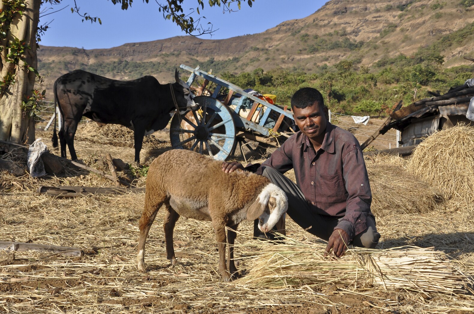 Hoe effectief zijn hulporganisaties? | de Volkskrant