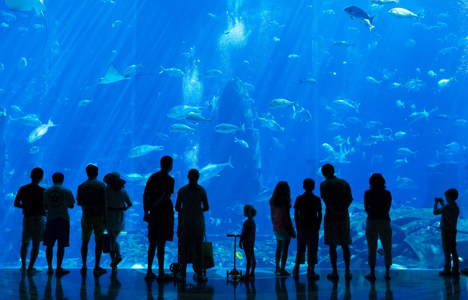 Verontrustende ontmoetingen van een oude man en een 12-jarig meisje ...