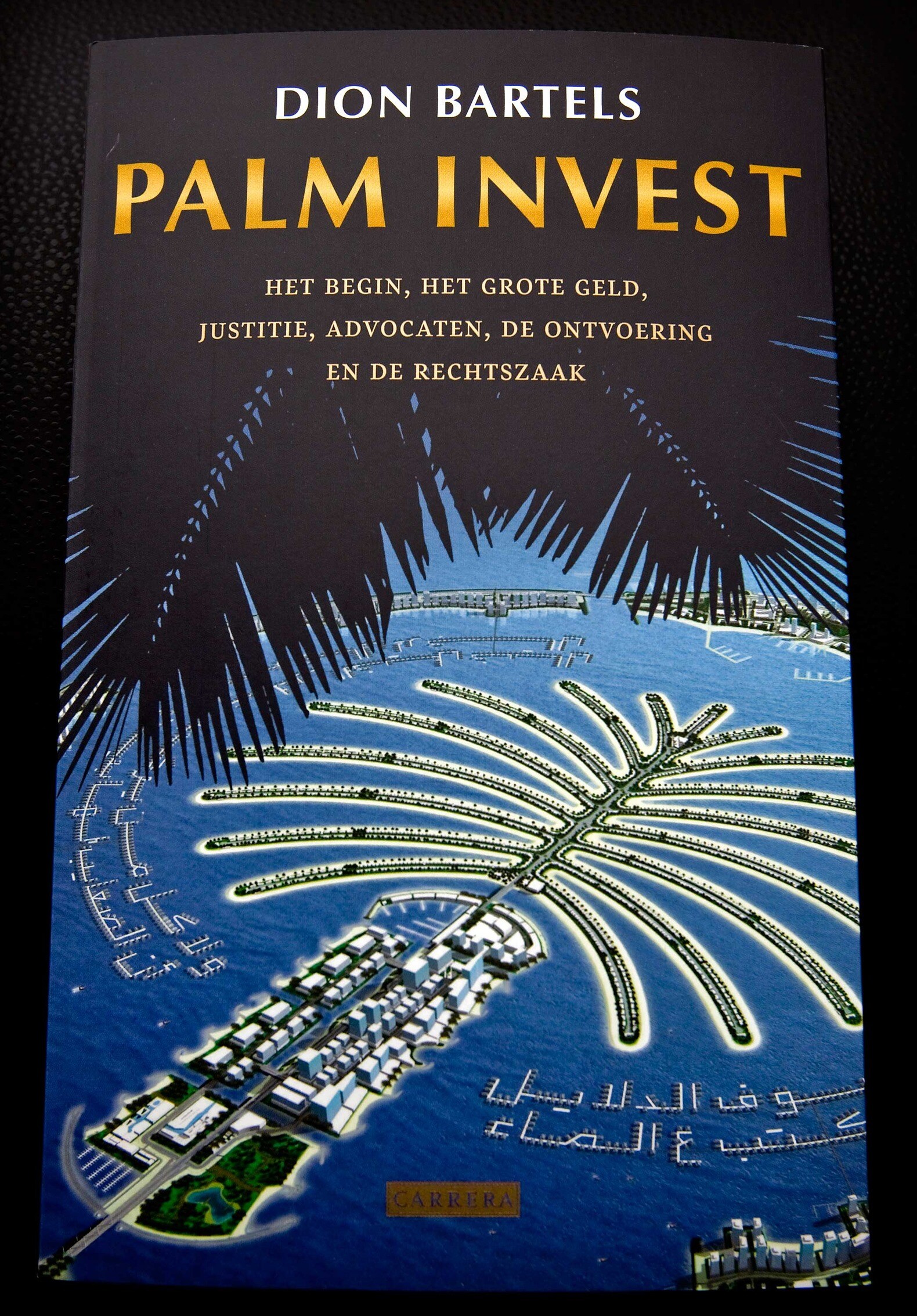 Veroordeelden Palm Invest krijgen iets lagere straf | de Volkskrant