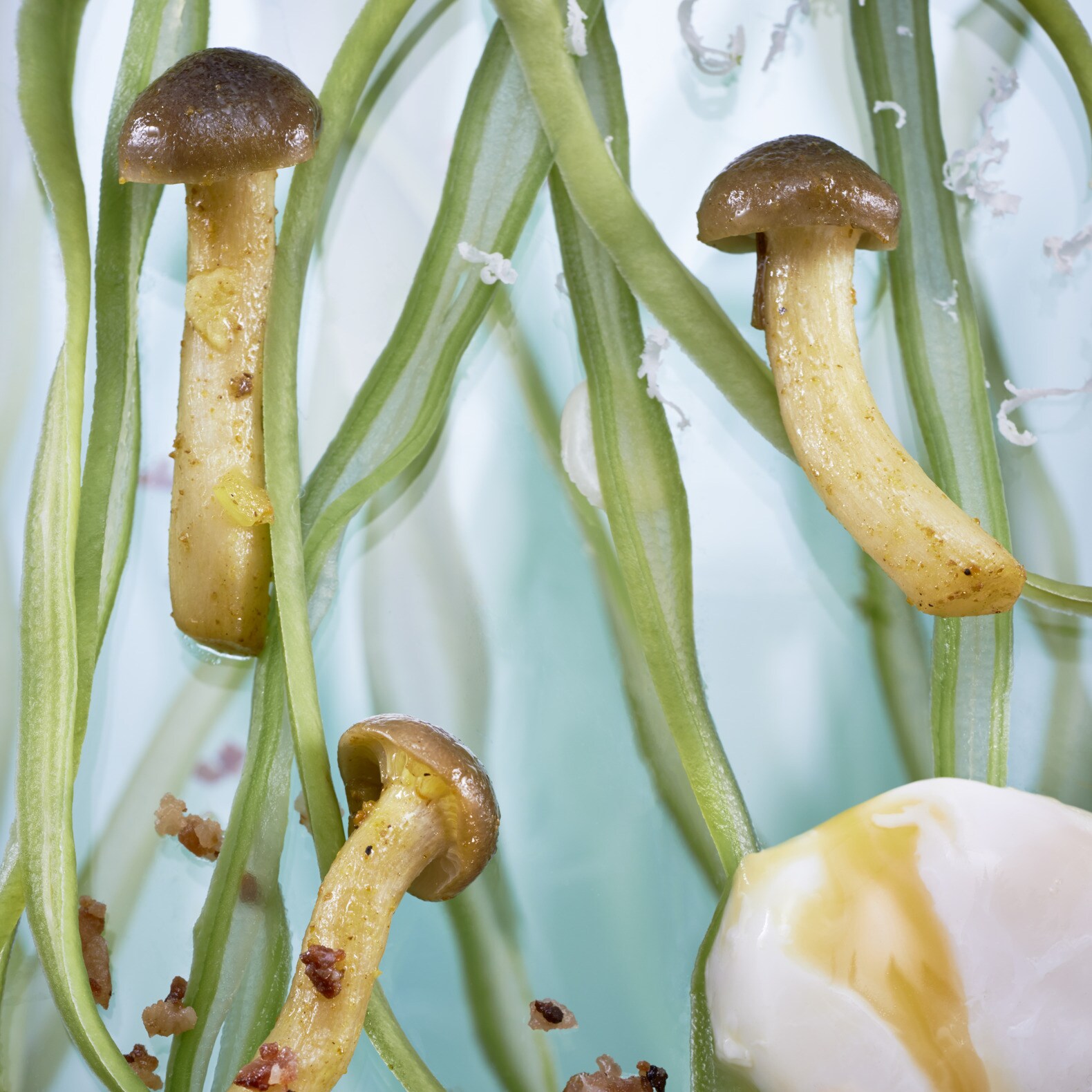 Zwierige slierten: snijboon à la carbonara | de Volkskrant