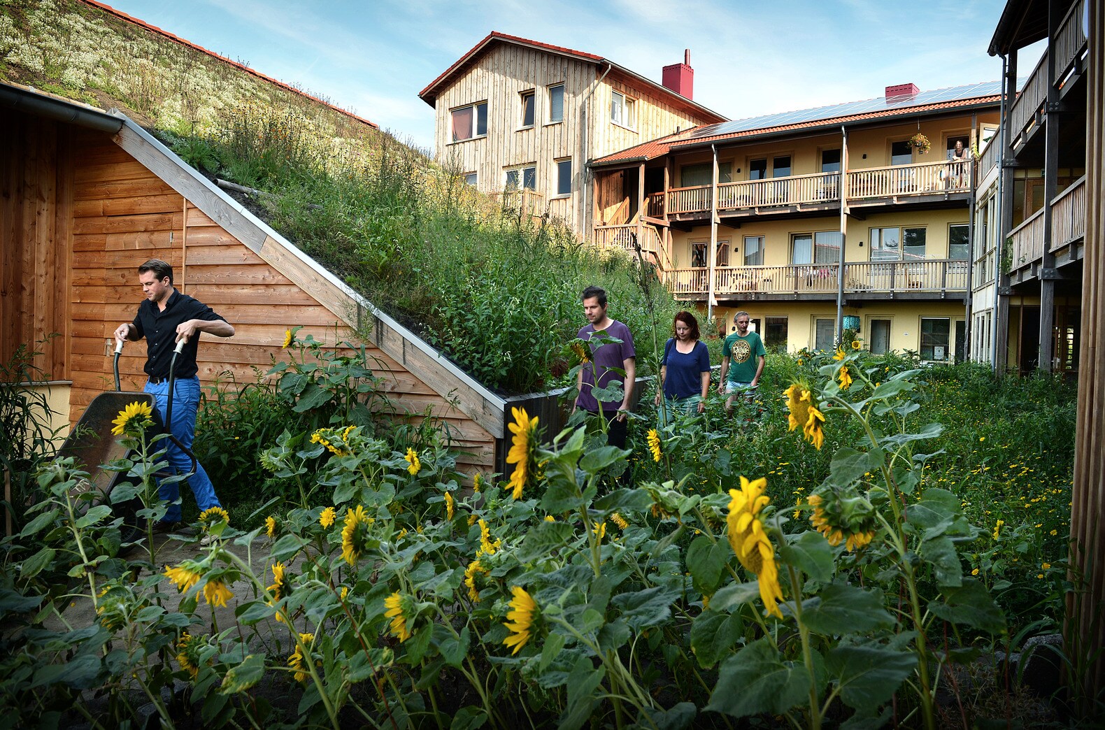 Het grootste ecologische bouwproject van Nederland is een succes | de ...