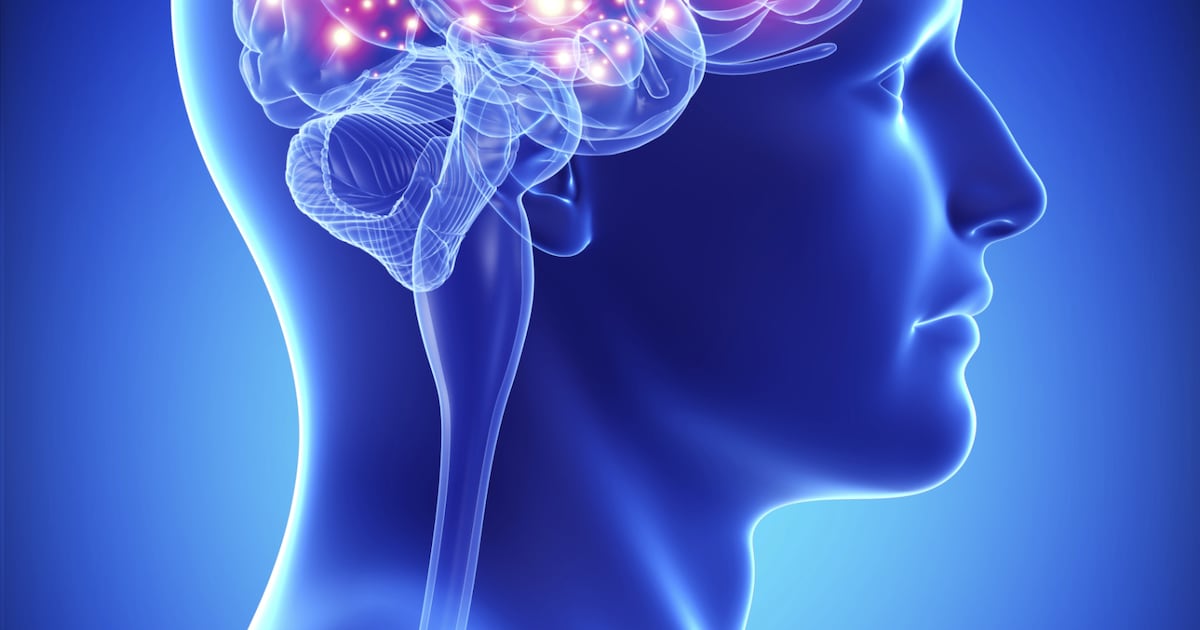 Een chip die werkt als menselijk brein: hoe werkt dat? | de Volkskrant