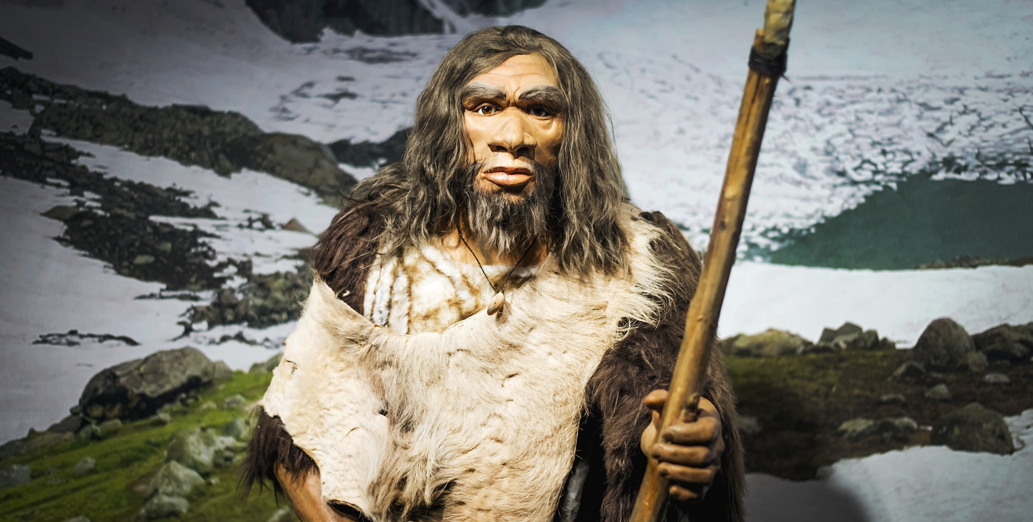 Nadert een nieuwe ijstijd? | de Volkskrant