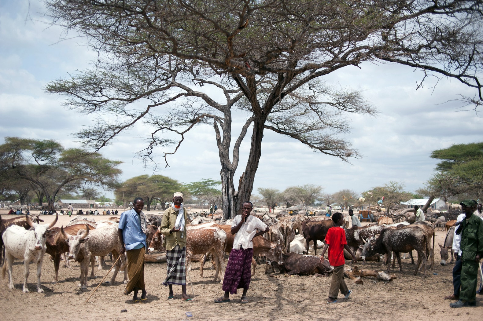 Somalische droneslachtoffers klagen Nederlandse staat aan | de Volkskrant