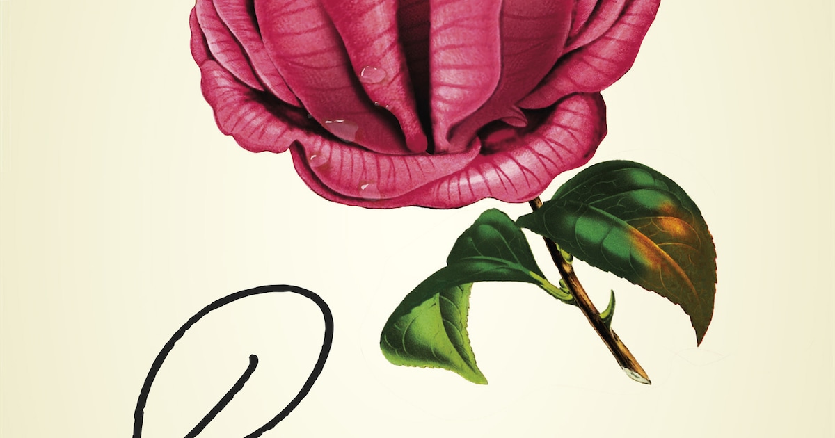 A dirty mind is a joy forever | de Volkskrant