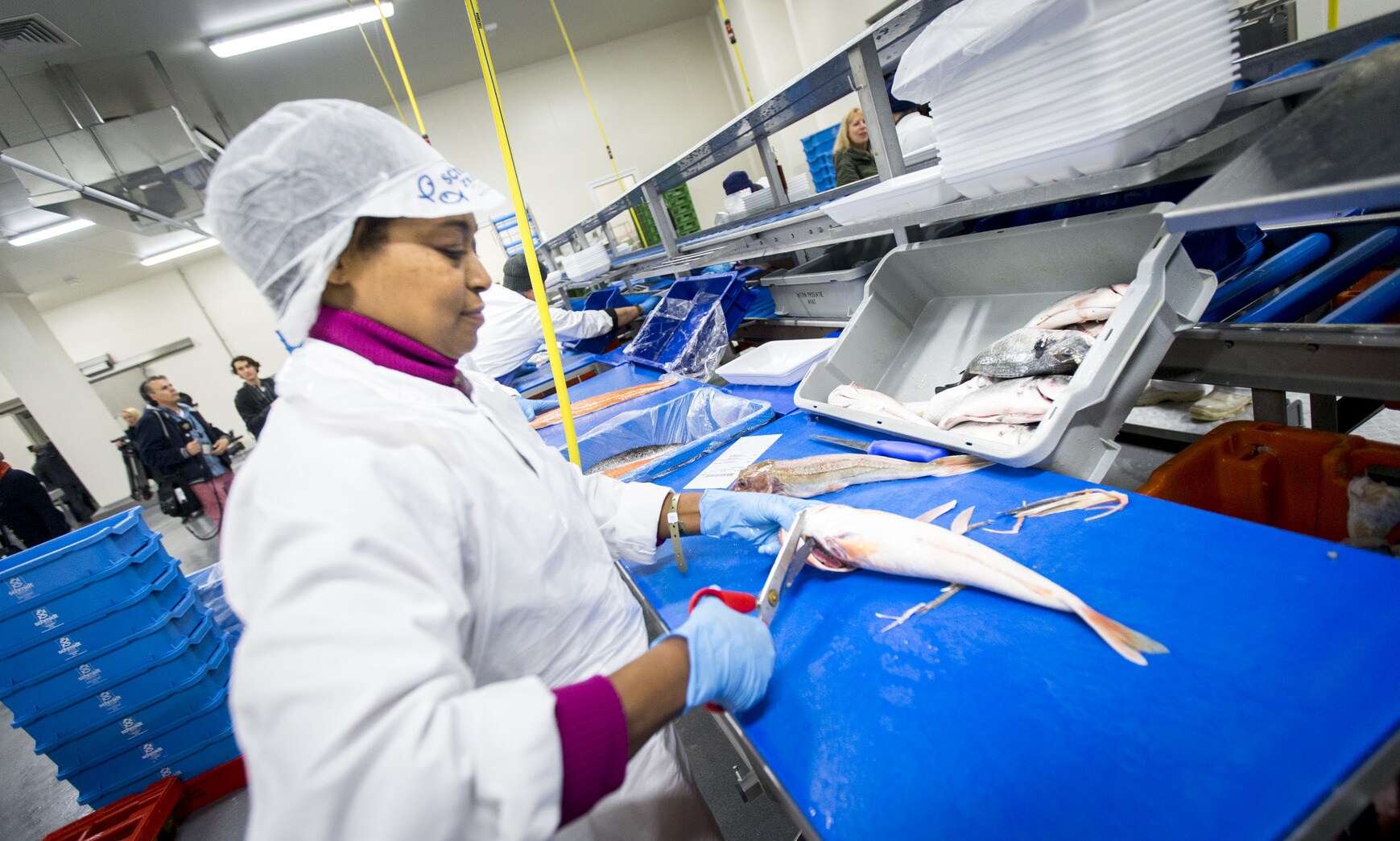 De nieuwe Schijf van Vijf is een keuzemenu geworden | de Volkskrant