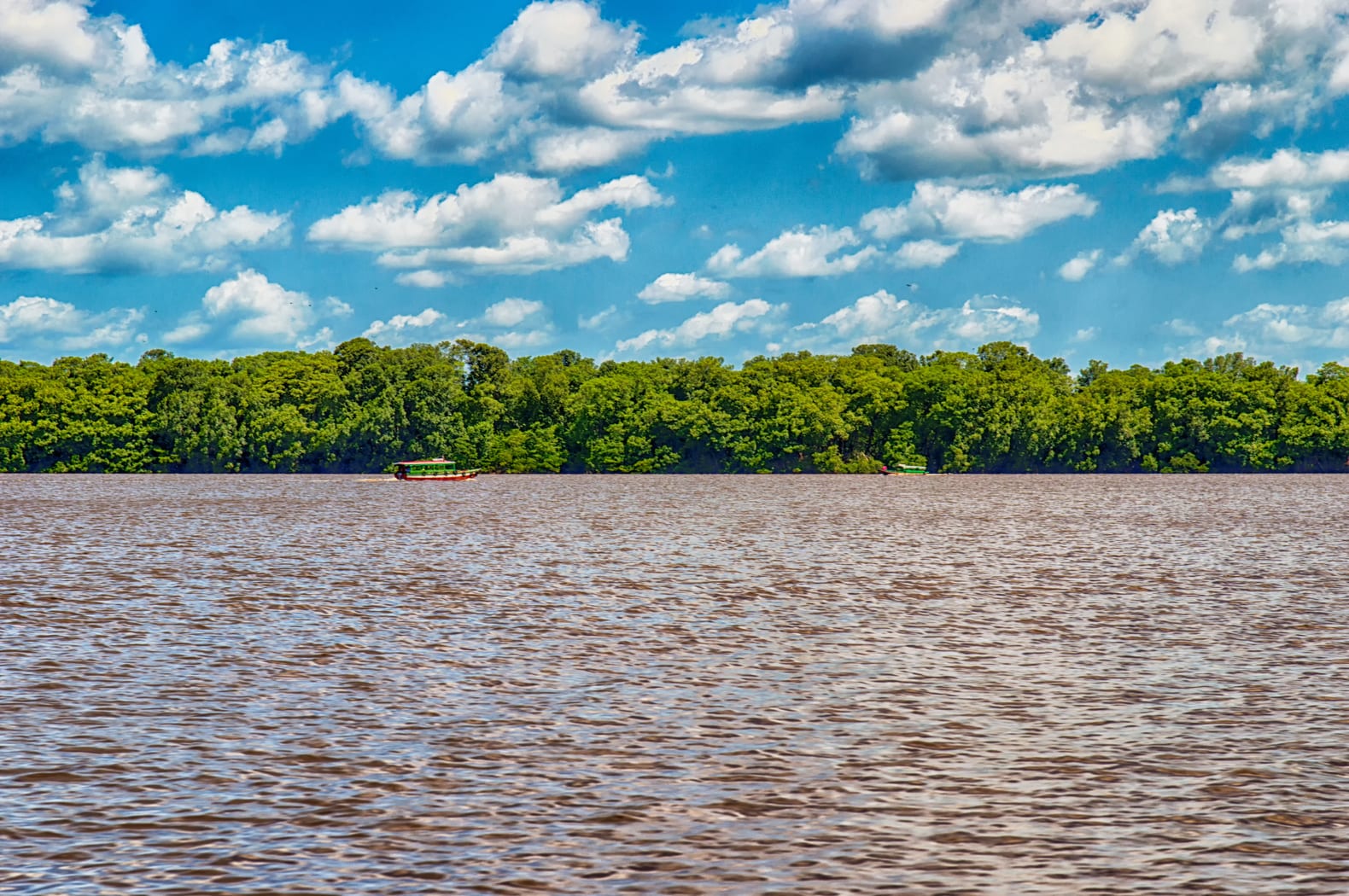 Suriname kan miljarden verdienen aan schoon water | de Volkskrant