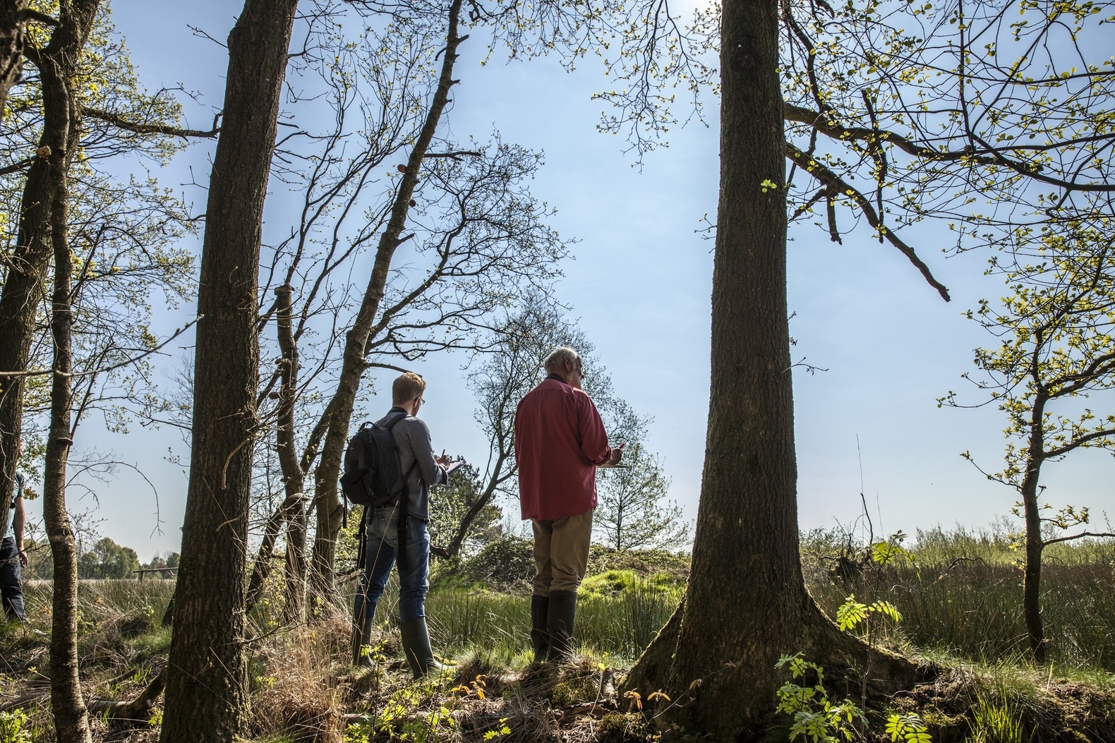 Hoor het vogeltje (niet meer) fluiten | de Volkskrant