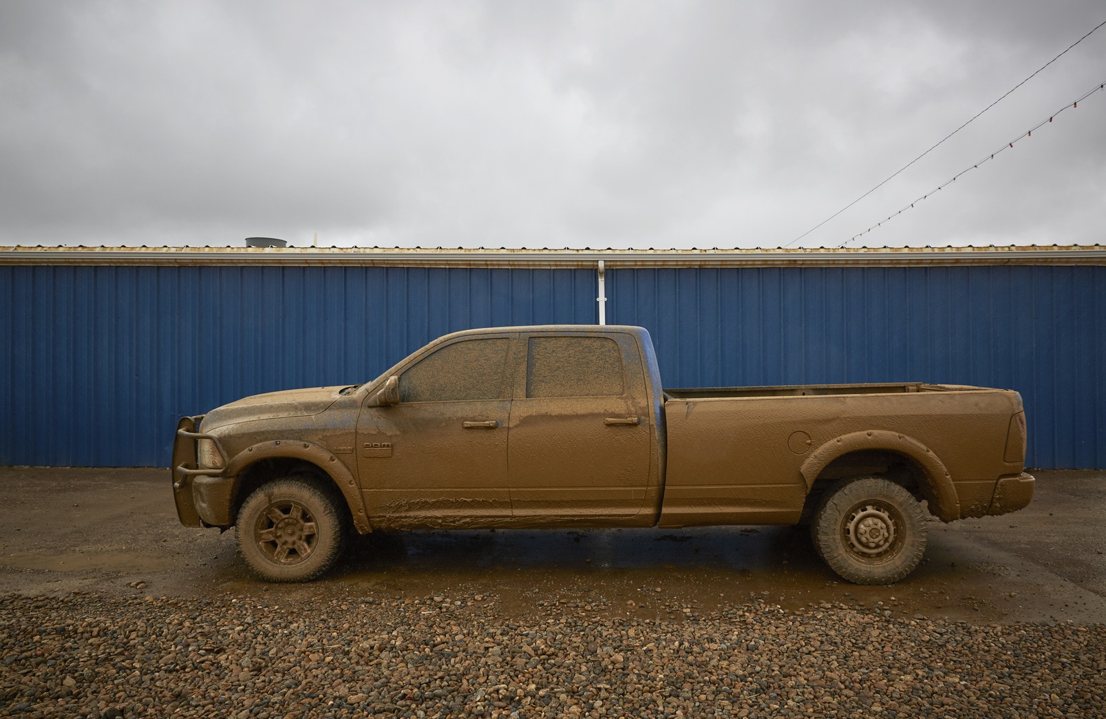 Gevonden voorwerp: een dino | de Volkskrant