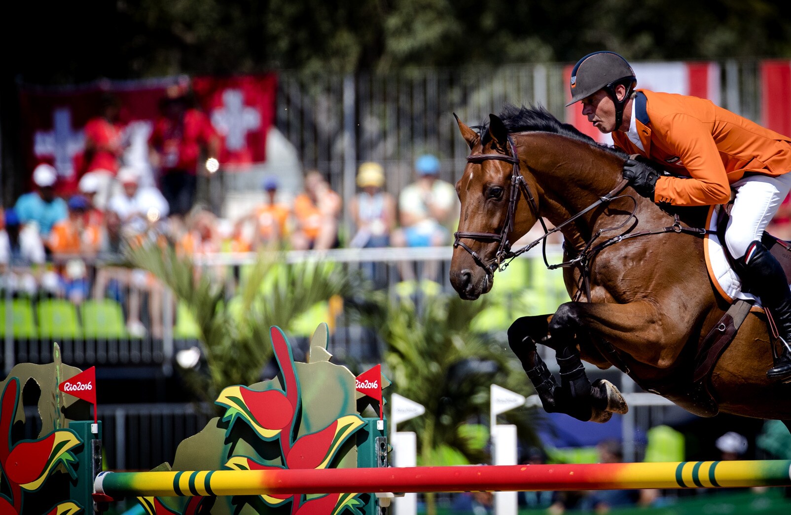 Op internet is springpaard Zenith helemaal geen topper, veiling mislukt ...