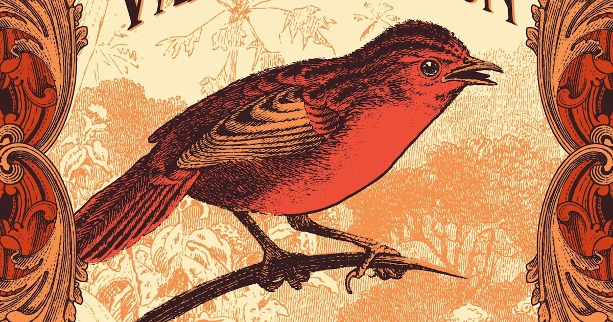 Keep Me Singing is vintage Van Morrison | de Volkskrant