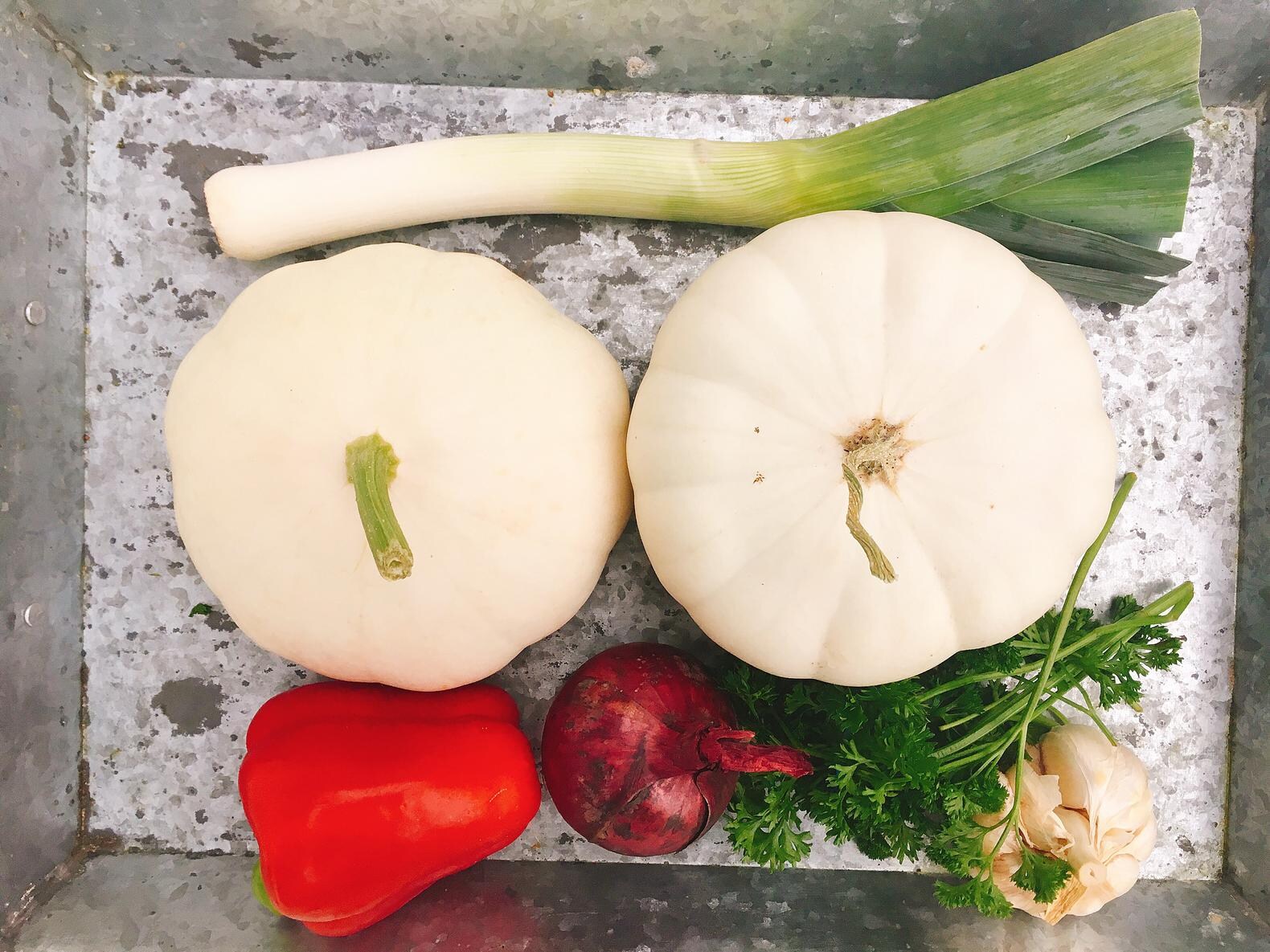 Gevulde patisson met vis | de Volkskrant