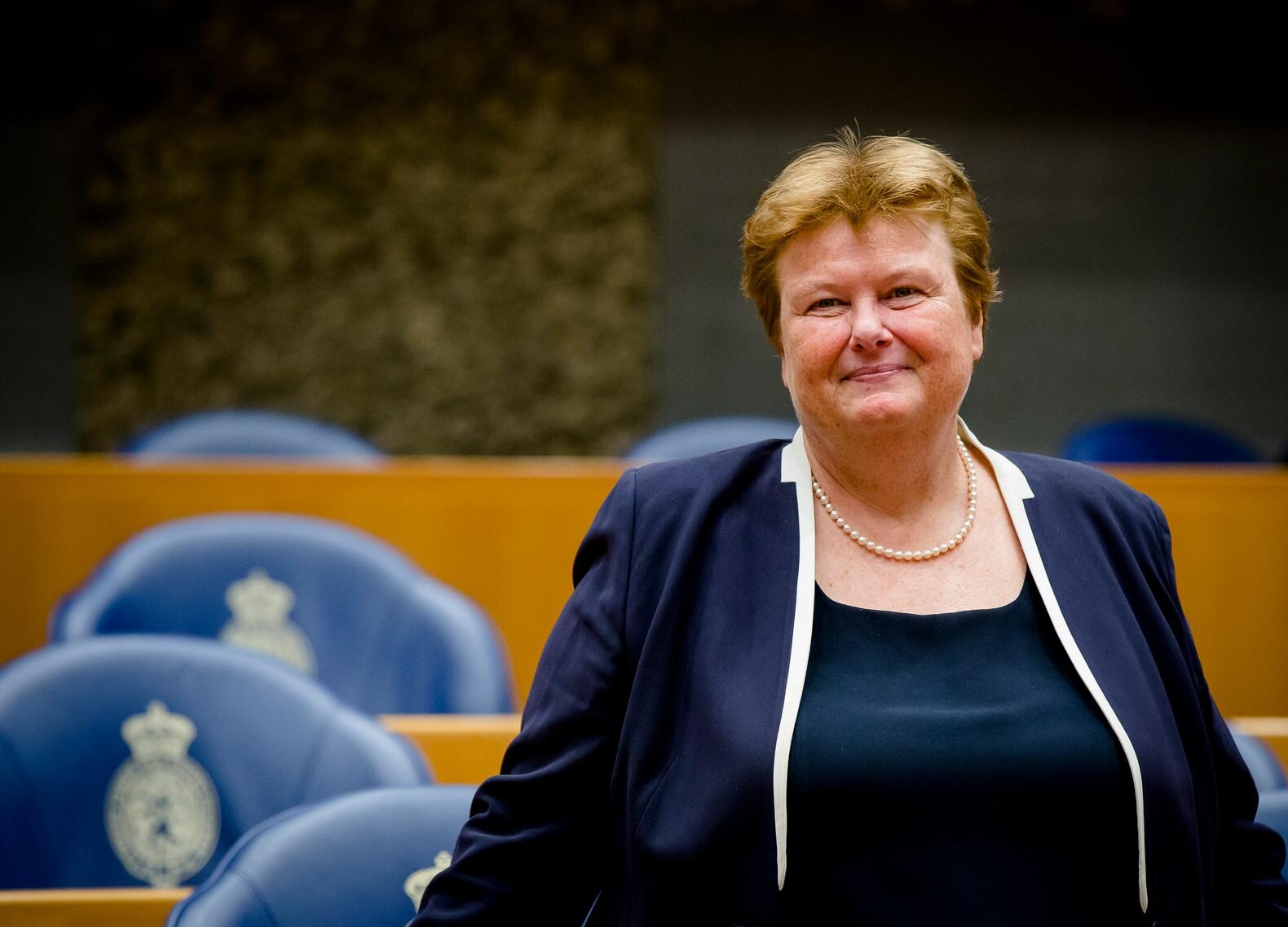 Het Binnenhof: 15 november | de Volkskrant