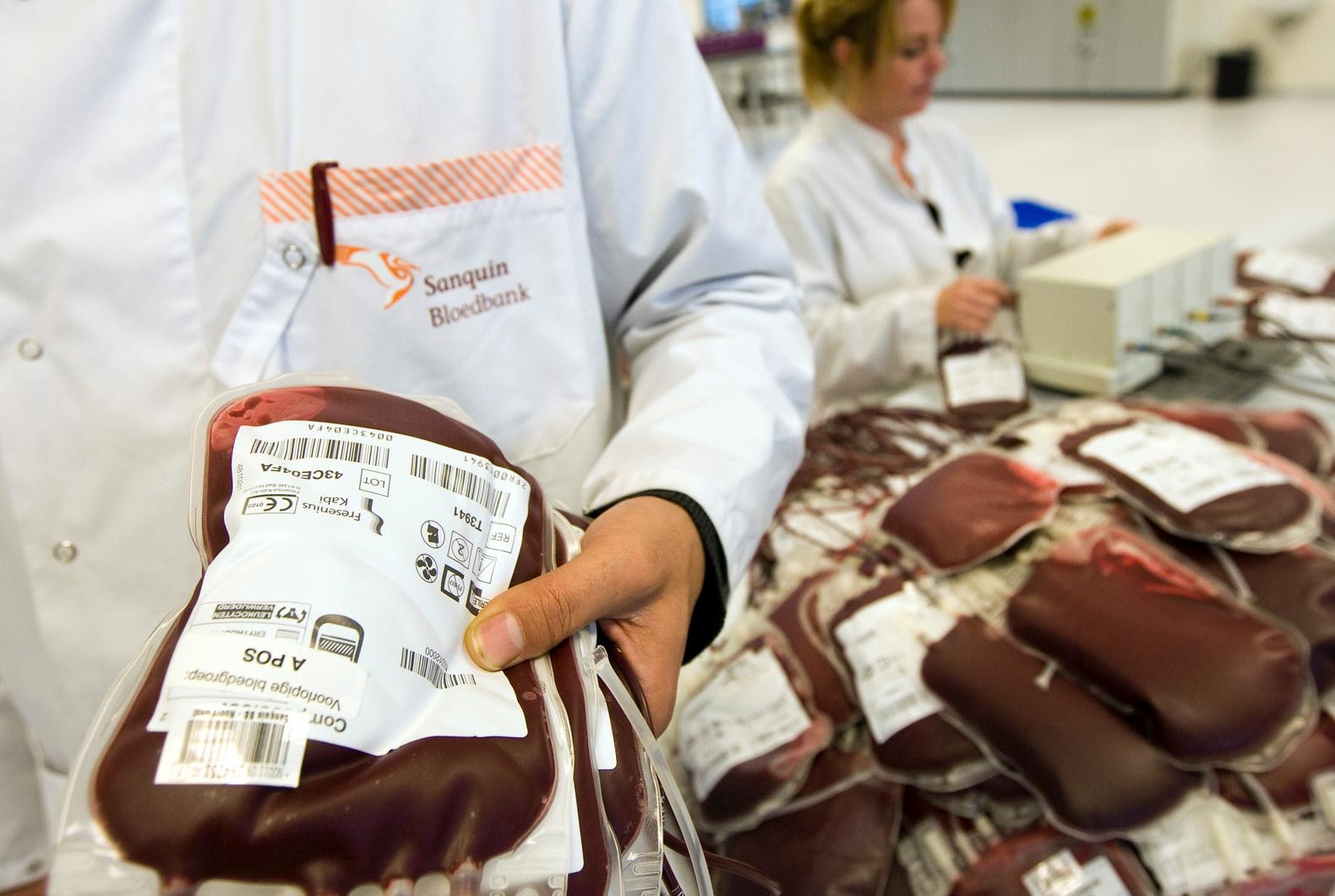 Onderzoek: oud lichaam verjongt niet door jong bloed | de Volkskrant