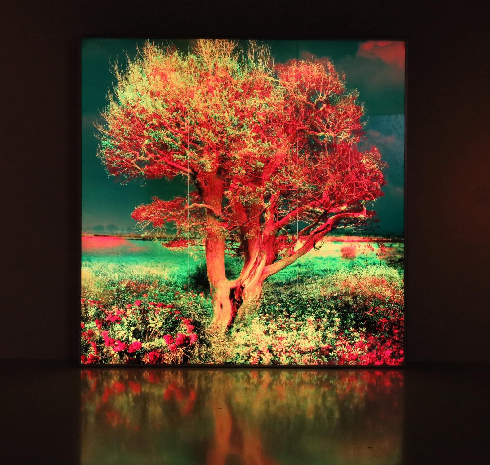 Kopje-onder in zee van beeld met Mul als strandwacht | de Volkskrant