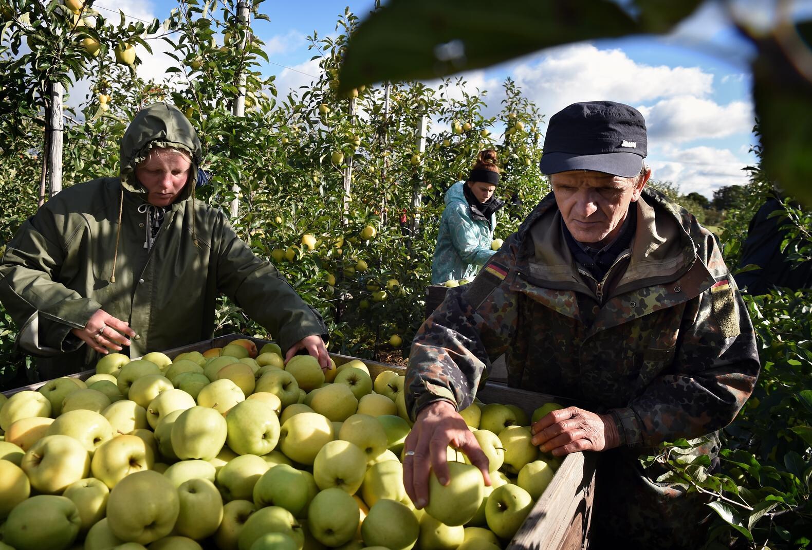 Arbeidsmigratie in Europa leidt tot valse concurrentie | de Volkskrant