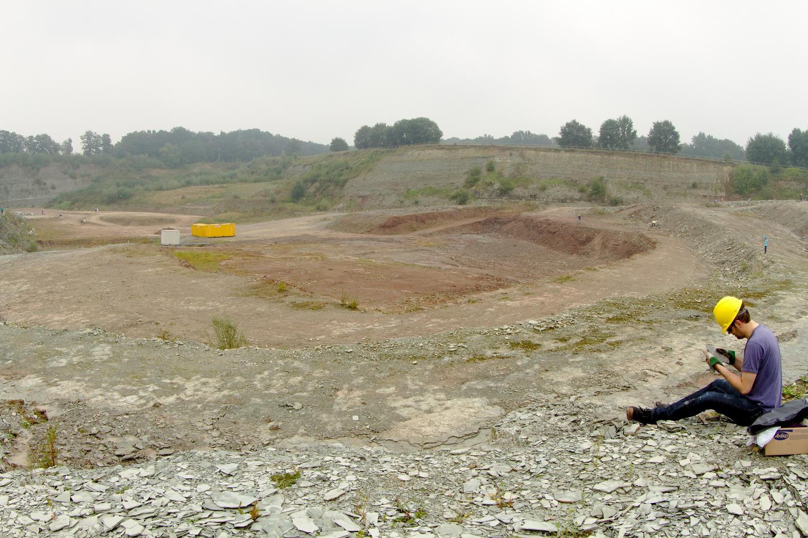 Oudste Nederlandse keverfossiel ontdekt: bijna kwart miljard jaar oud | de Volkskrant
