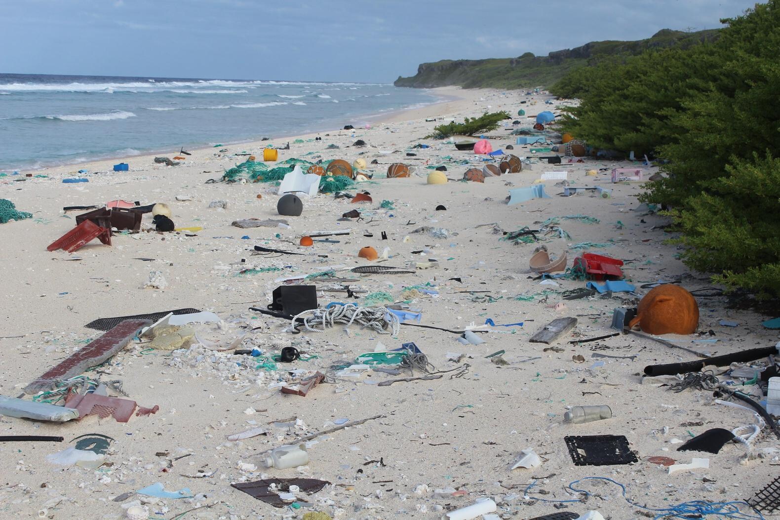Nergens op de wereld zo veel plasticafval aangespoeld als op dit ...