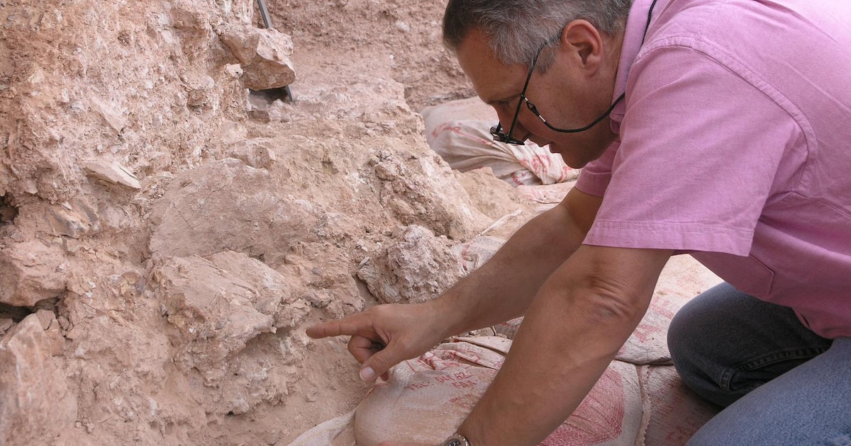 Dertig jaar genetica valt niet met één fossiel weg te vagen | de Volkskrant