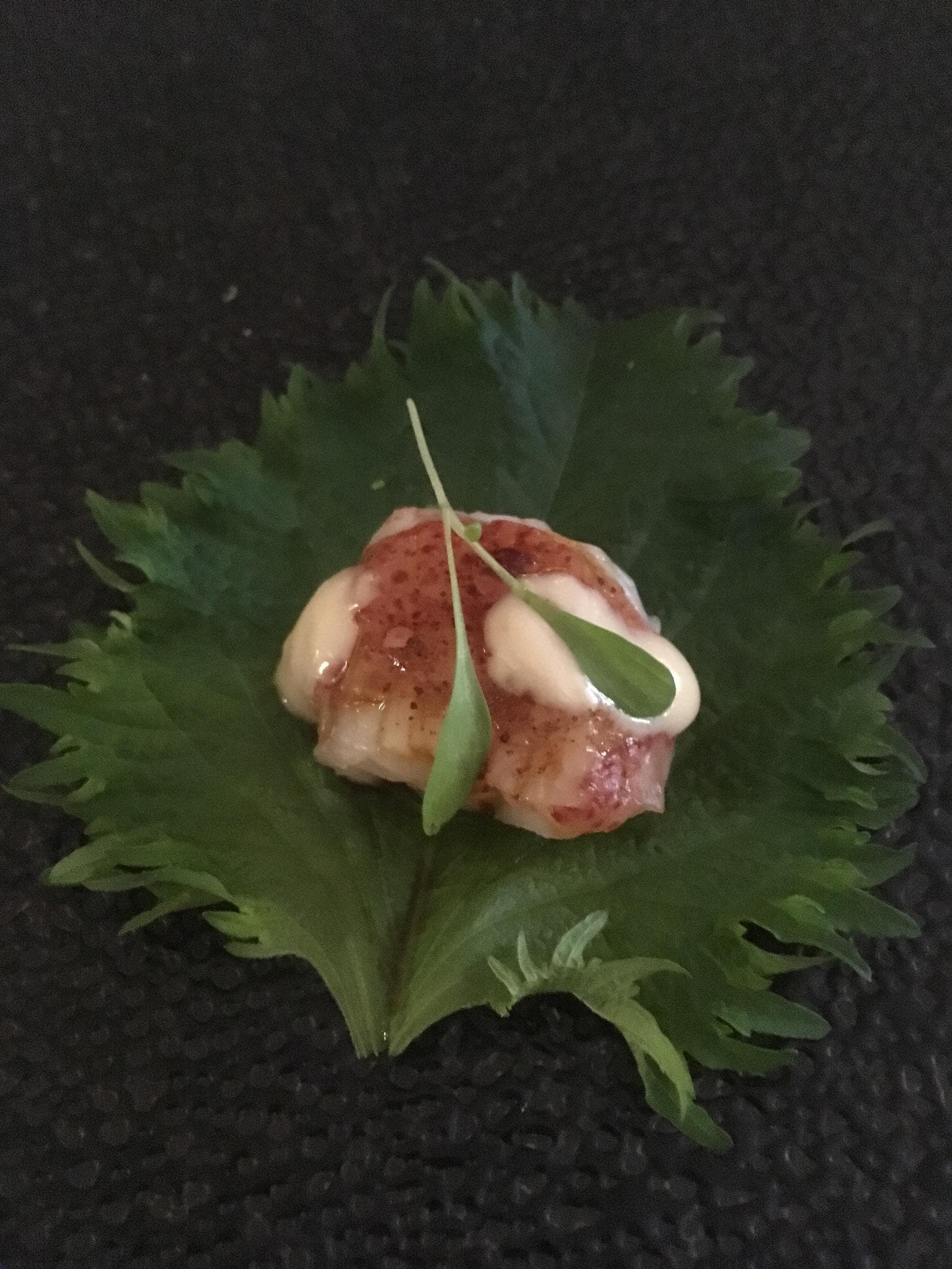 Noteer maar: naar Helmond voor De Rozario | de Volkskrant