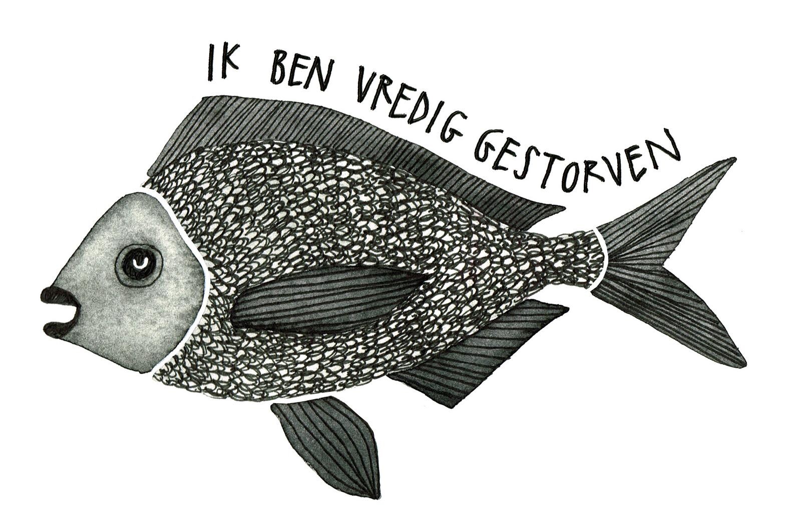 Loethe Olthuis kraakt voedingsmythen | de Volkskrant