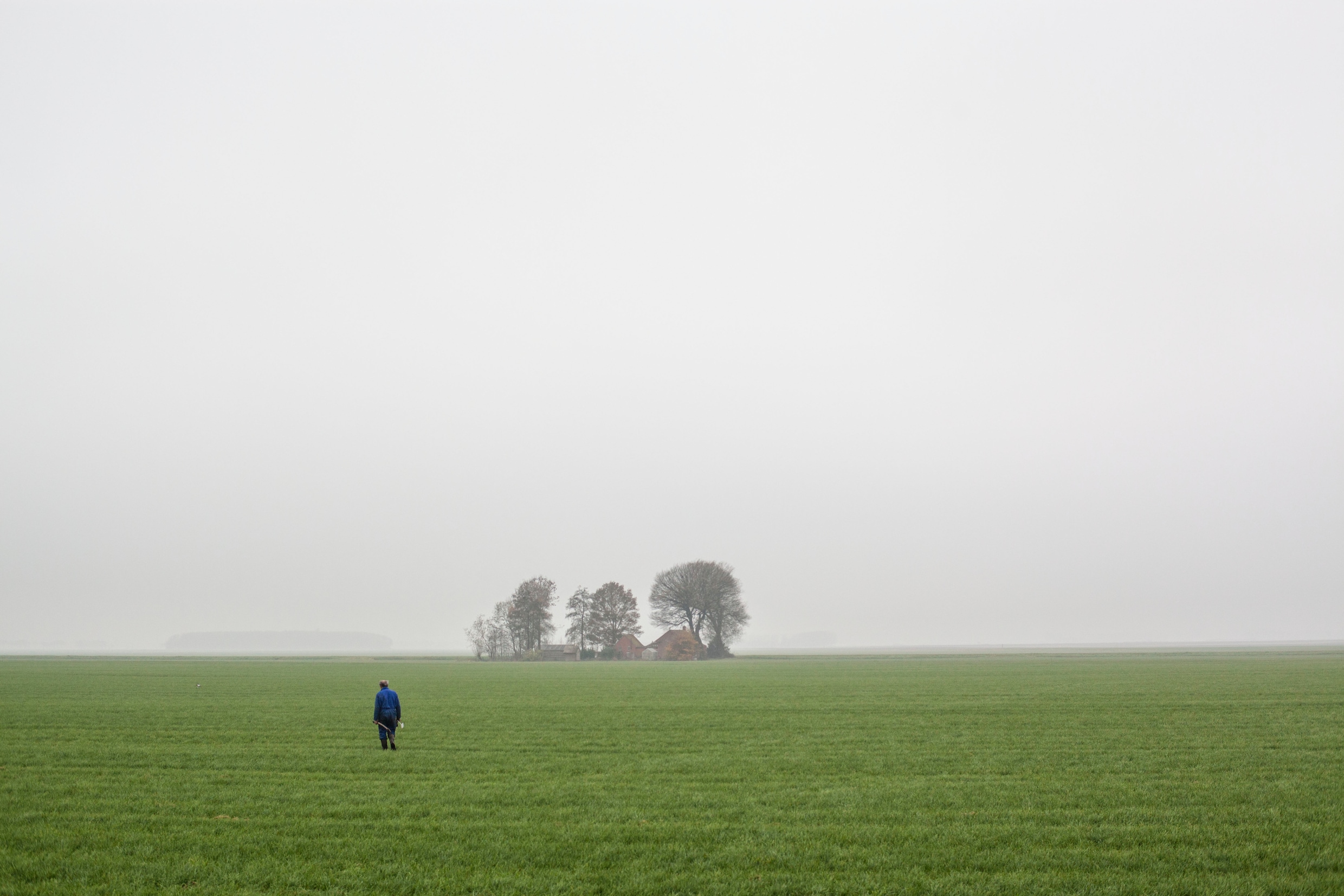 Overal kilometers platgestreken effen groen. Zeg me waar de bloemen ...