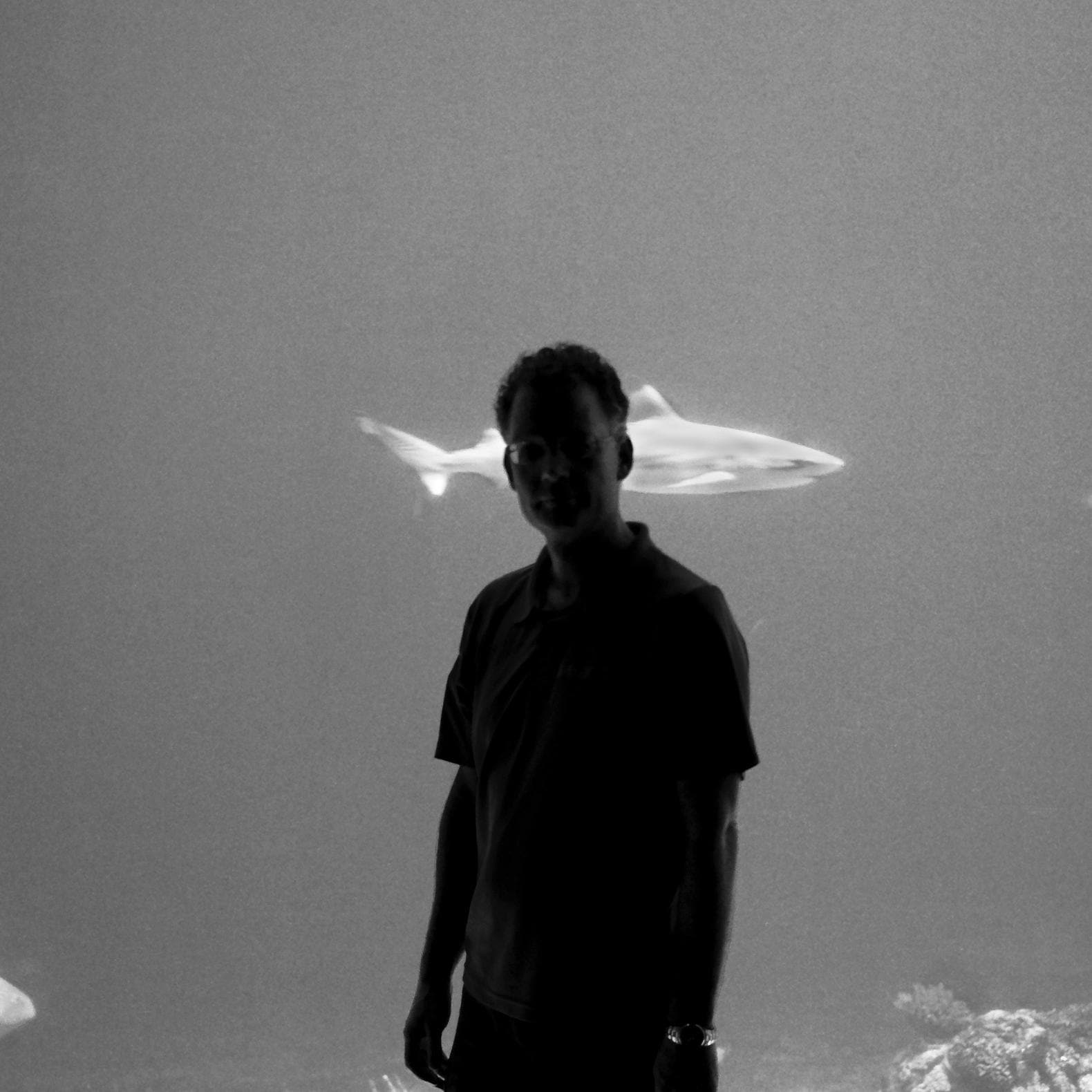 Zo maak je het perfecte aquarium: 'Zelfs het houden van goudvissen moet ...