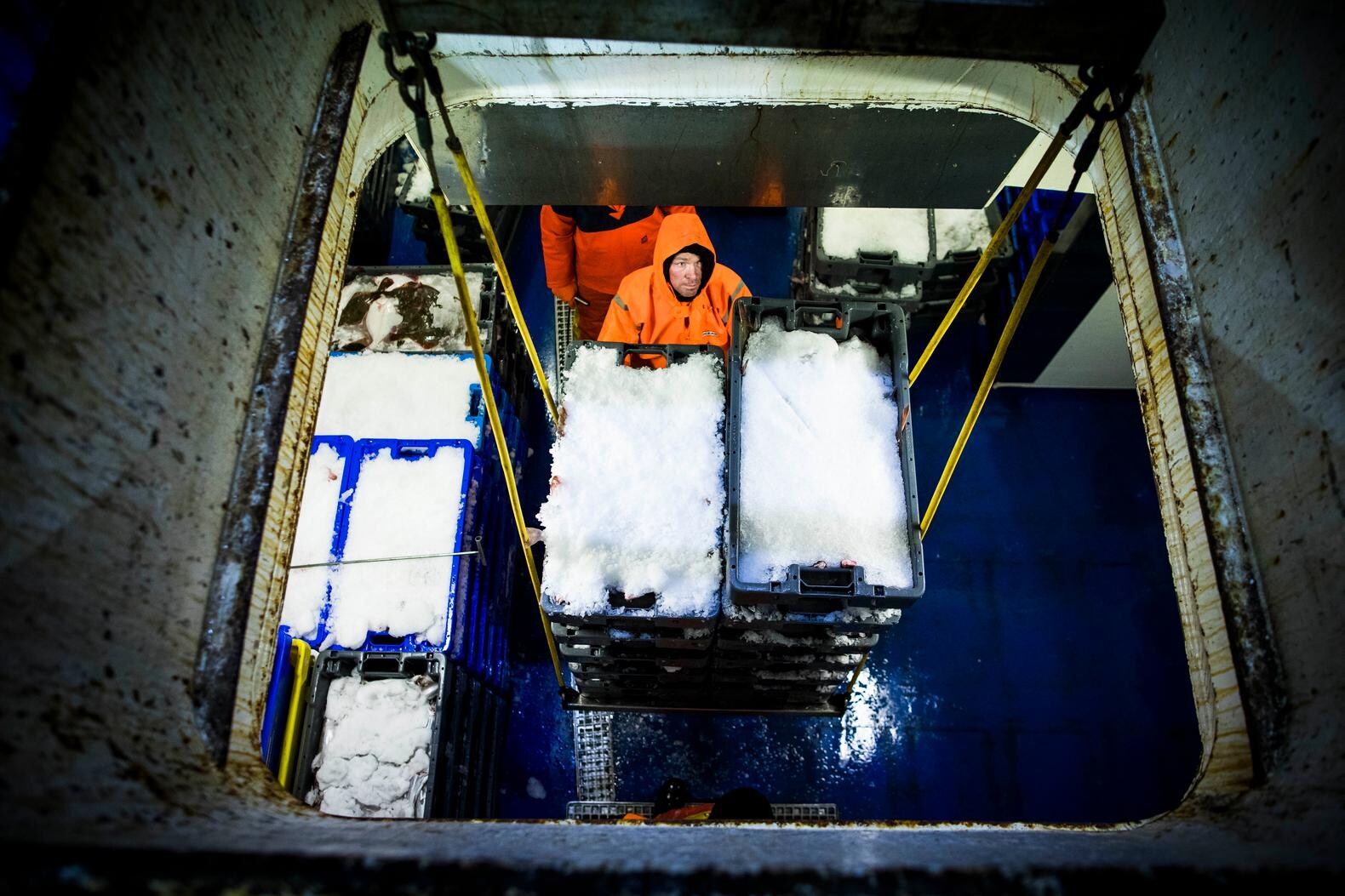 De slag op zee: waarom de Nederlandse vissers zo gehaat worden | de ...