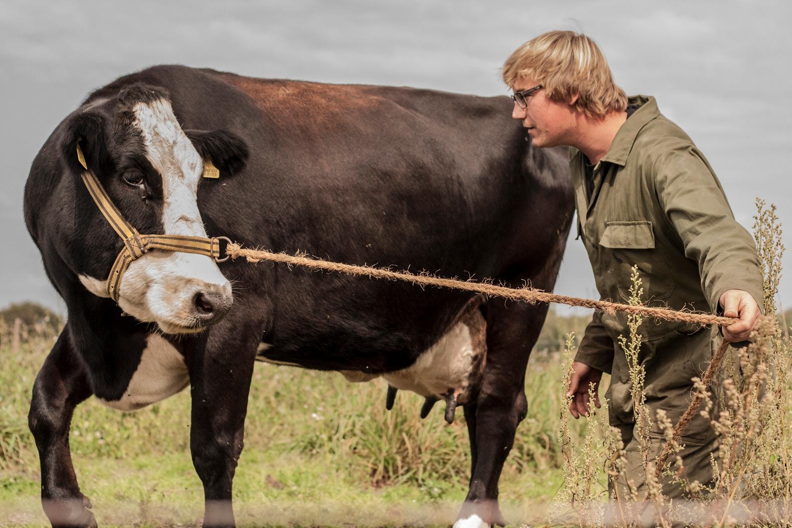 Boeren worden geen boer meer, en dat heeft alles te maken met ...