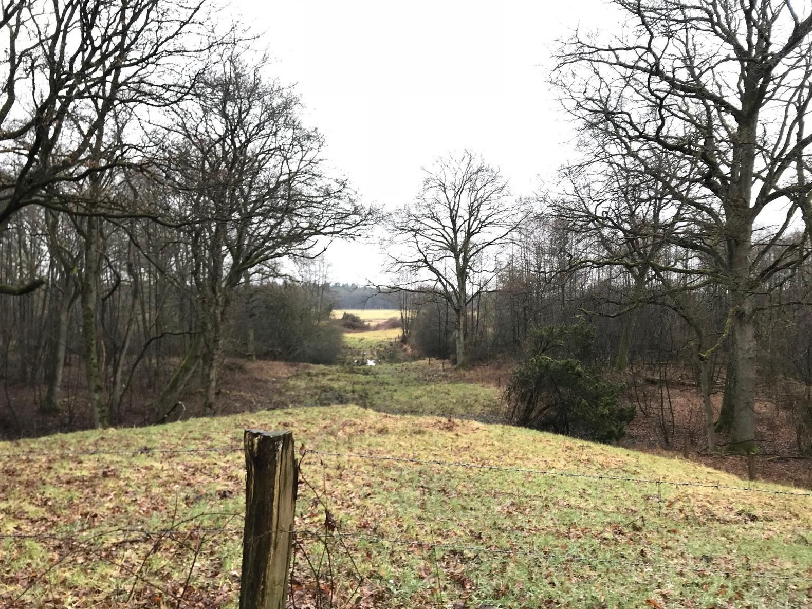 Het Arriër Koeland is gespaard gebleven voor de vooruitgang | de Volkskrant