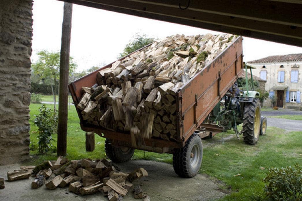 Opinie: Bovendien maken ze ons in tijden van vervreemding meer bewust ...