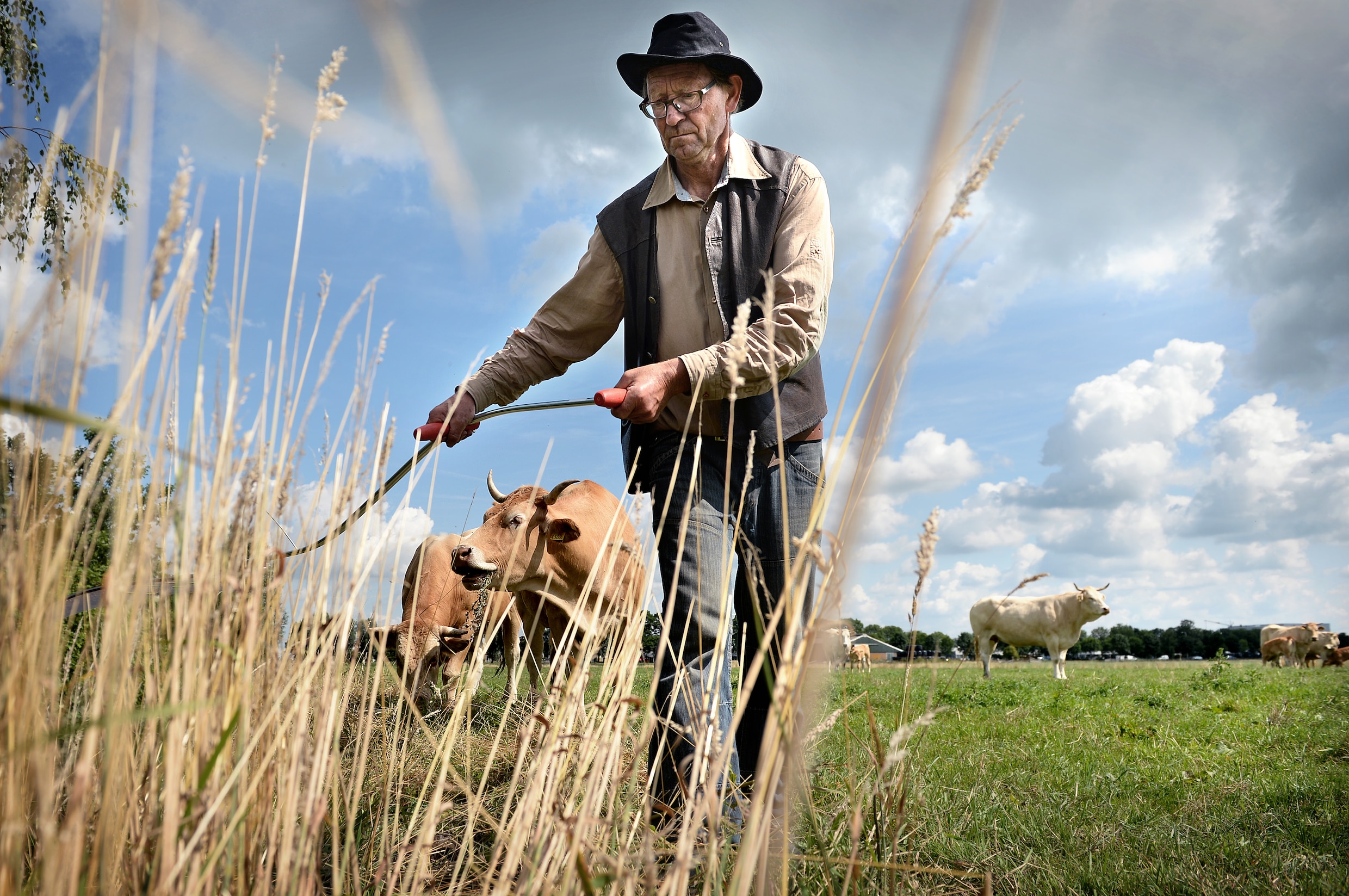 Steun boeren die rekening houden met de natuur | de Volkskrant