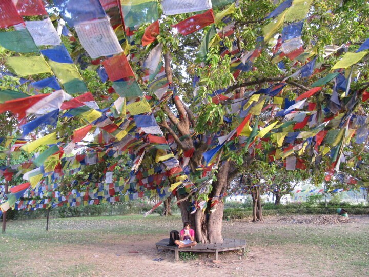 Engelse archeologen: Boeddha rond 600 voor Christus geboren | de Volkskrant